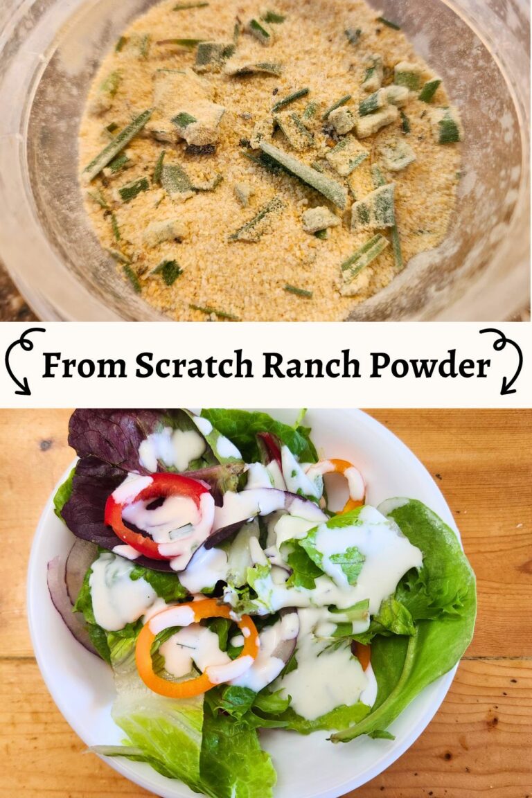 The BEST Homemade Ranch Powder - The ReHomesteaders